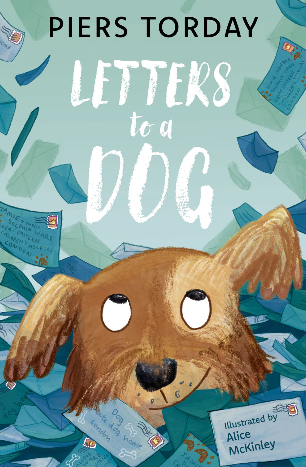 Letters to a Dog - Piers Torday